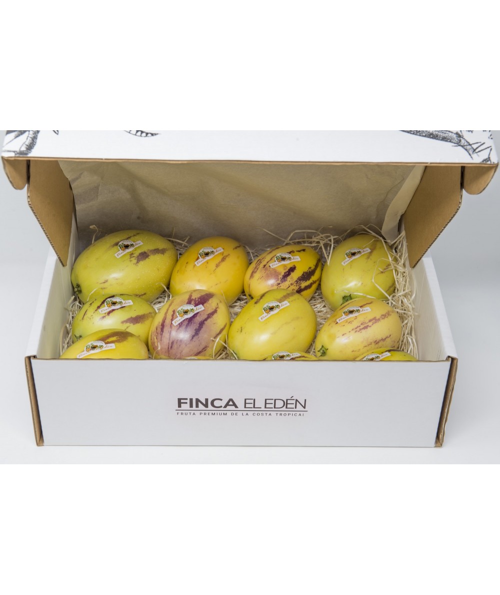 Pera - Melón (Origen: España)